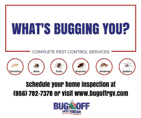 Top Reasons to Hire a Pest Control Service Provider - Bug Off Pest Control